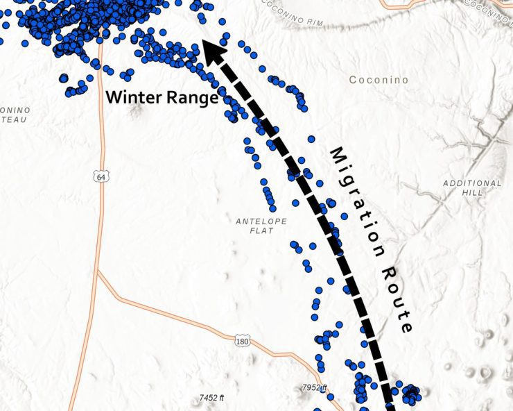 300000 To Migration Corridor Initiative Work Mule Deer Foundation