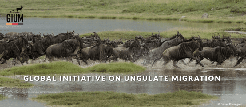 Atlas of Ungulate Migrations - Mule Deer Foundation