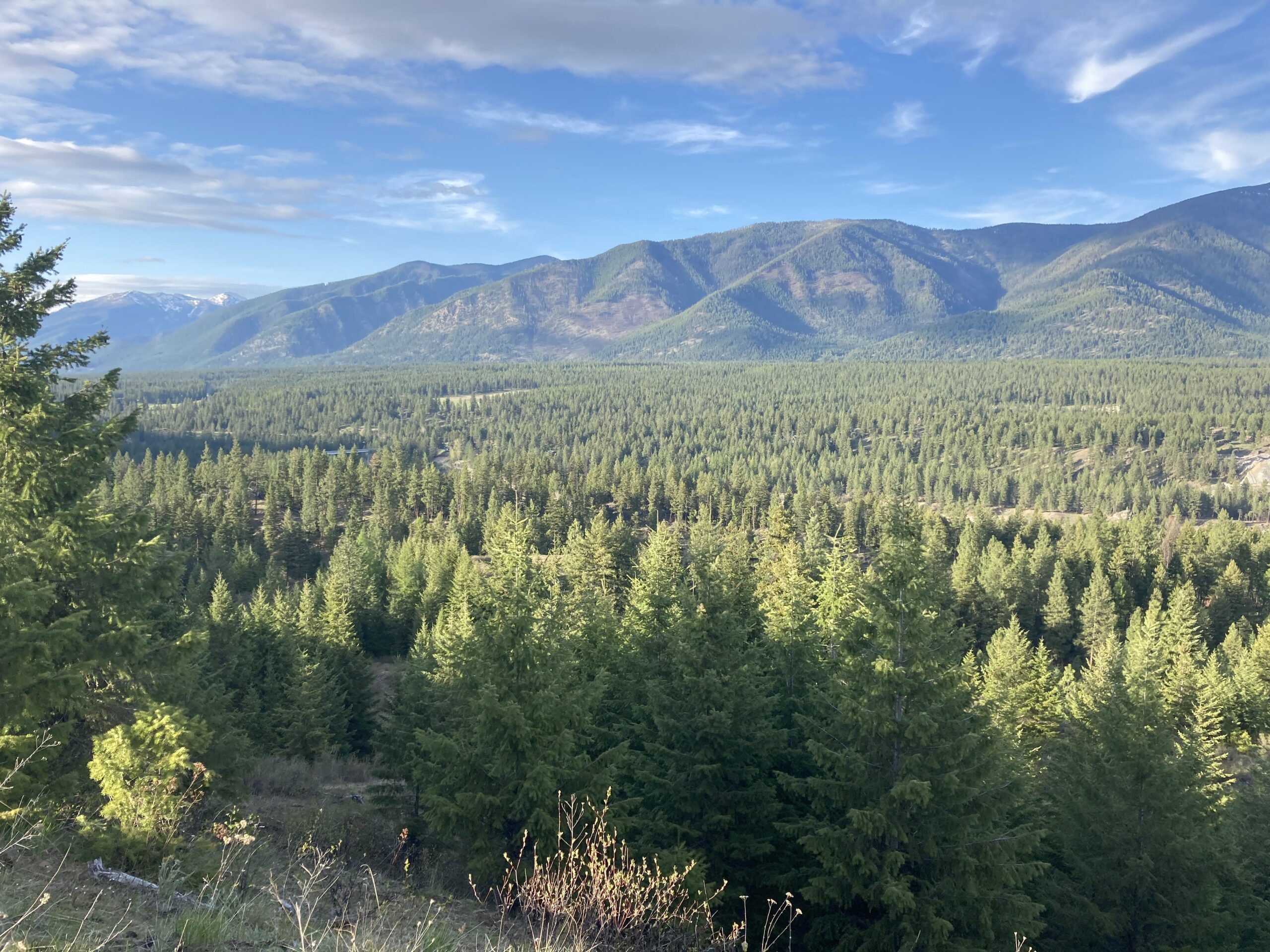 Public vs. Private Land Hunting Opportunities - Mule Deer Foundation