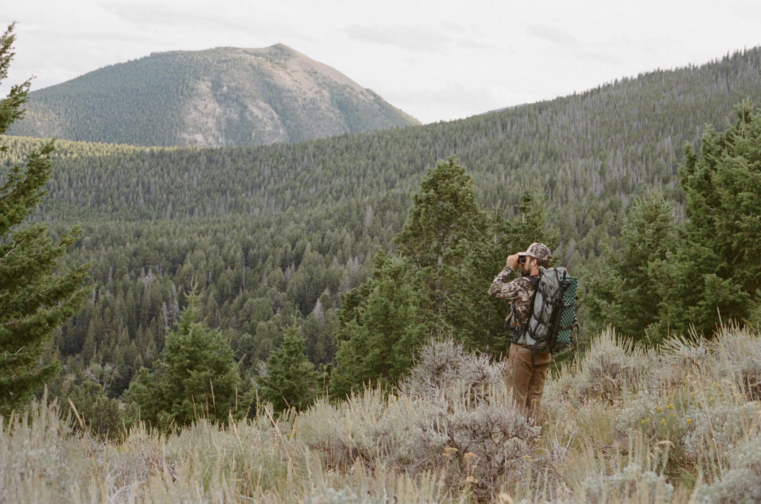 Conservation Tags and What They Fund - Mule Deer Foundation