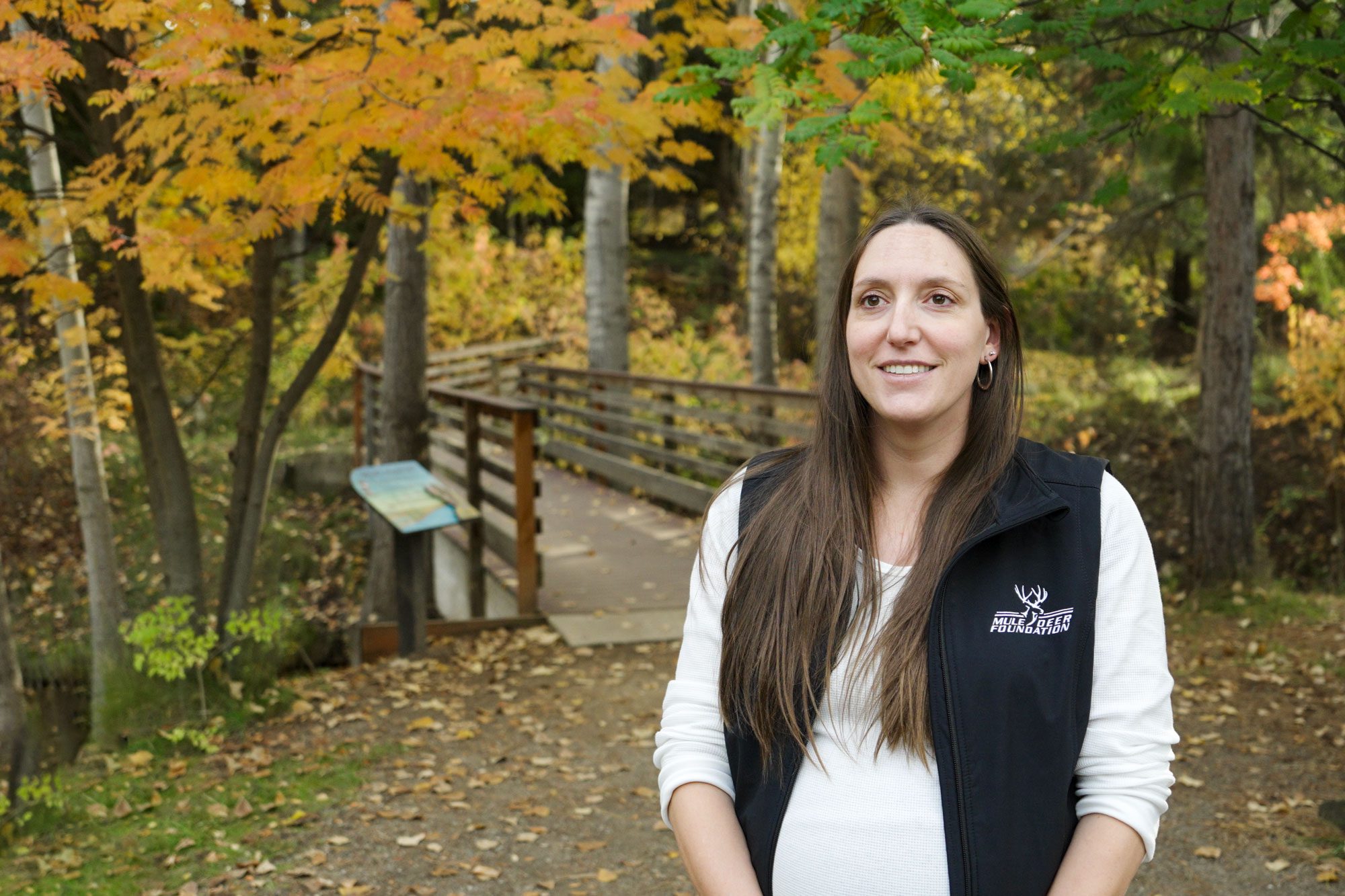 Building Bridges: The Mule Deer Foundation’s First Transportation ...